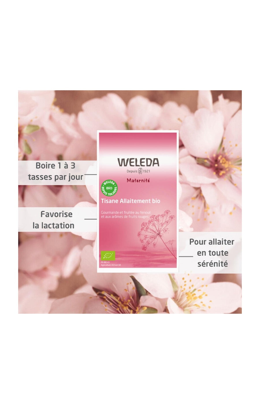 Tisanes allaitement bio - Fruits rouges - 2 x 20 sachets - Weleda ...