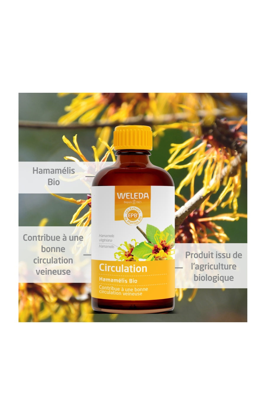 EPB® Hamamélis bio - Circulation - 100 ml - Weleda - Beauté Privée